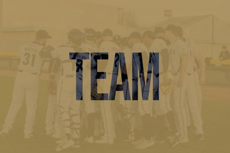 Official website of the Draci Brno baseball club. News, game schedule ...